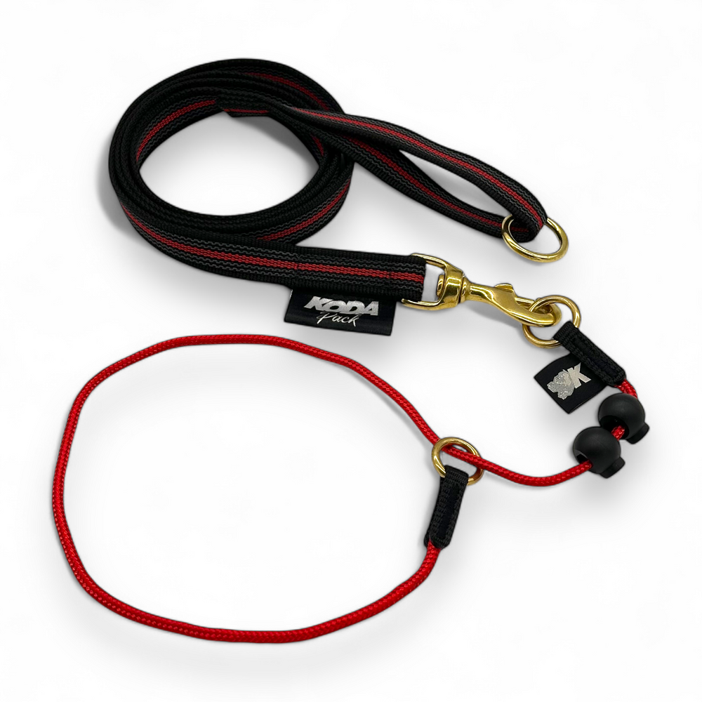 1.5m Rubberised Lead & Slip Collar Set – Durable Dog Training Set (Red